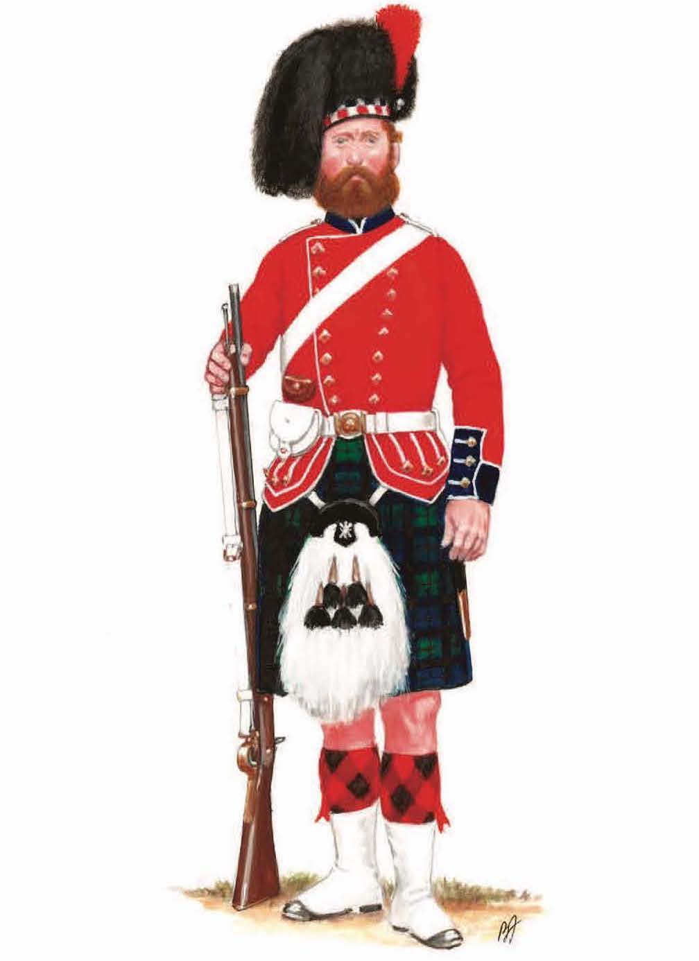 Shop - Books, Special Numbers & Binder - Military Historical Society